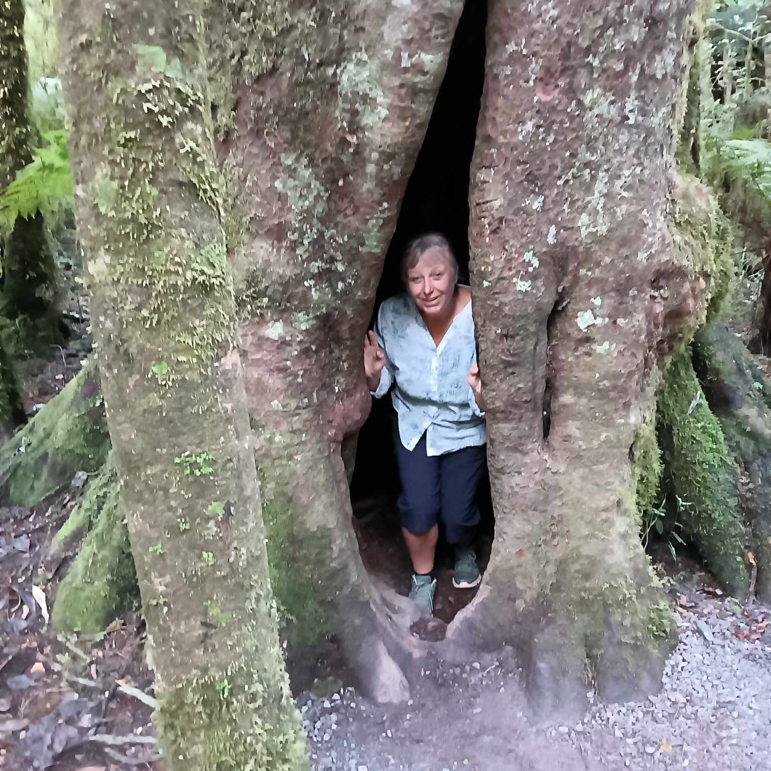 We're Back! – Tinui Food Forest