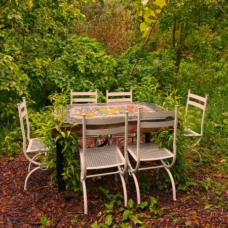 World First Living Willow Table! – Tinui Food Forest