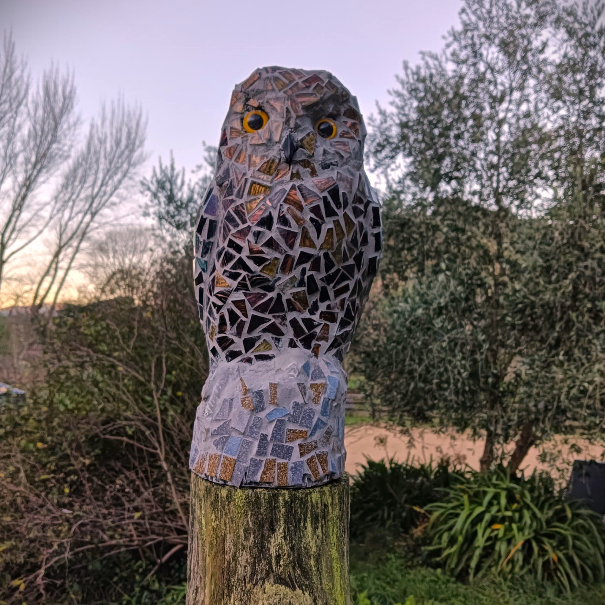 Meet the newest member of the Tinui Food Forest Family!