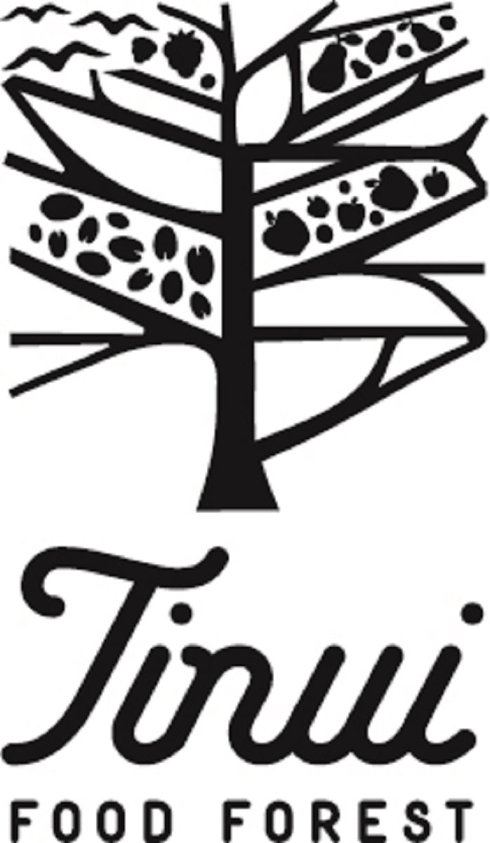 Guided Walk of the Food Forest – Tinui Food Forest